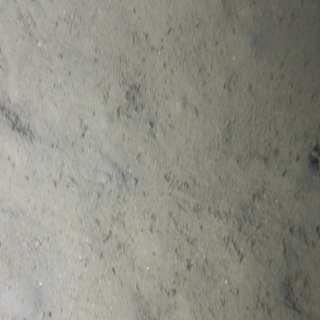 Silt – Seamap Australia