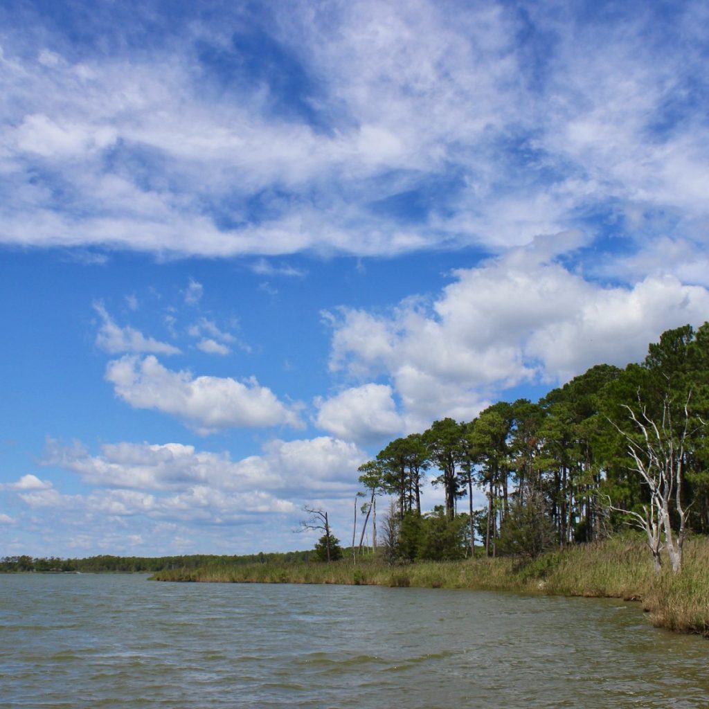 Wave-Dominated Estuary – Seamap Australia